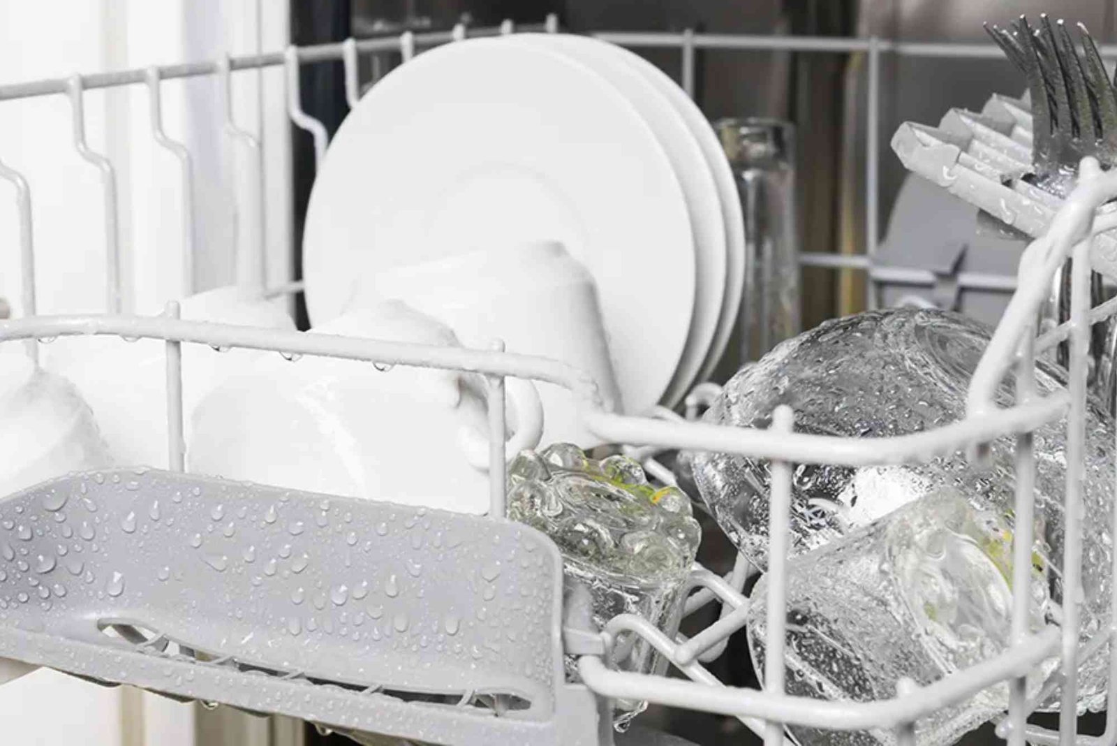 Dishes Not Drying Properly? Causes & Fixes You Need To Know