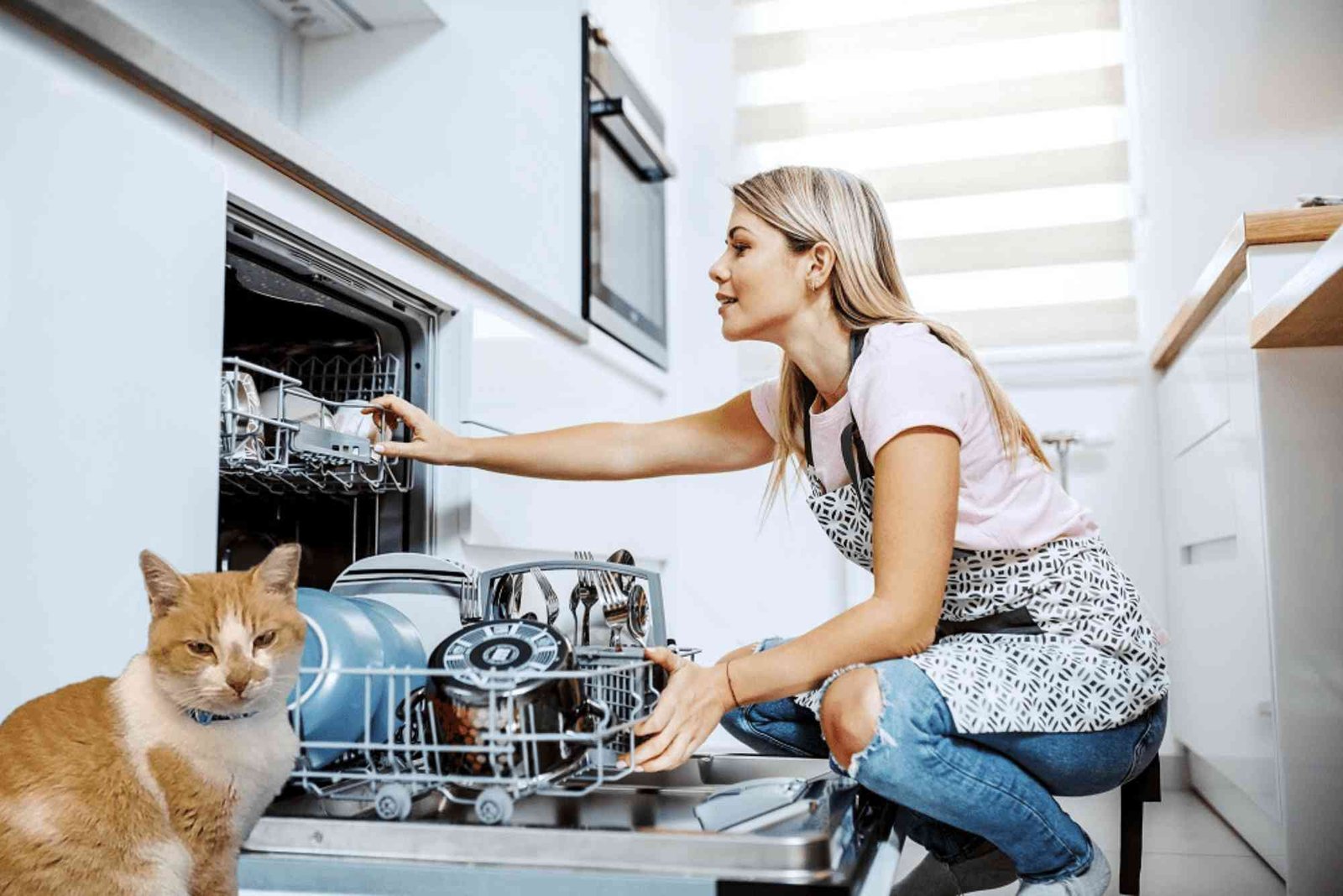 Why Is My Dishwasher Making Loud Noises? Causes & Fixes
